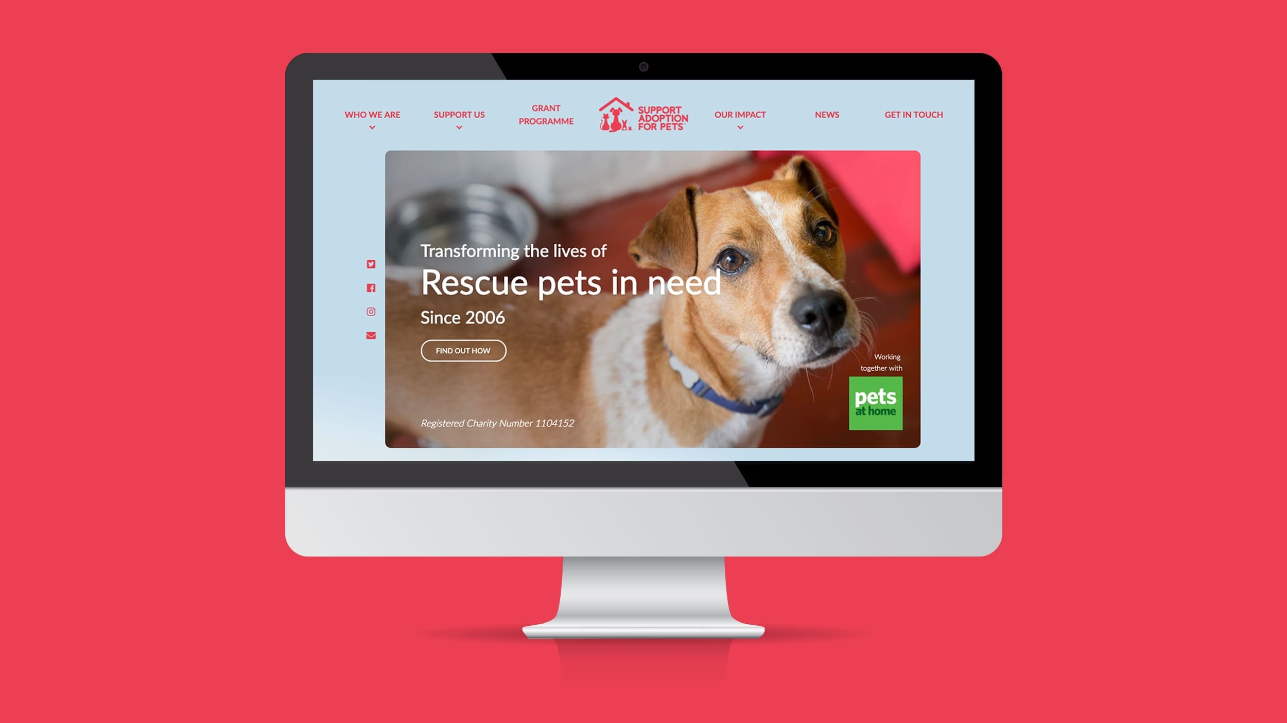 Our new website launch - Pets Foundation