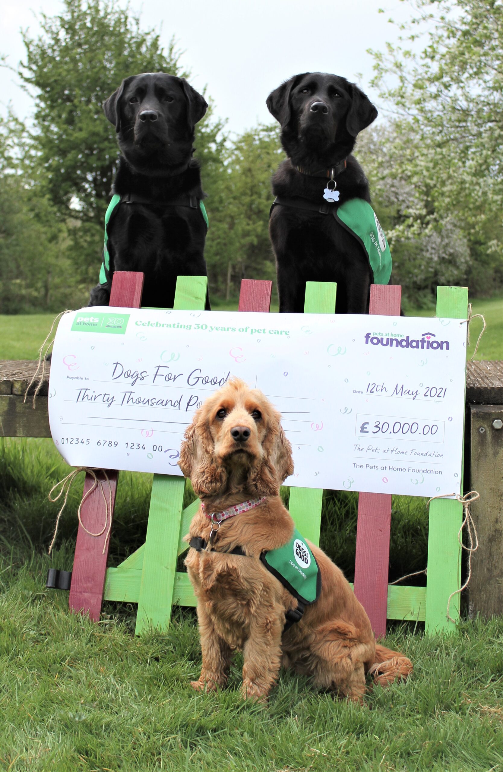 £30,000 grant awarded ... - Pets Foundation