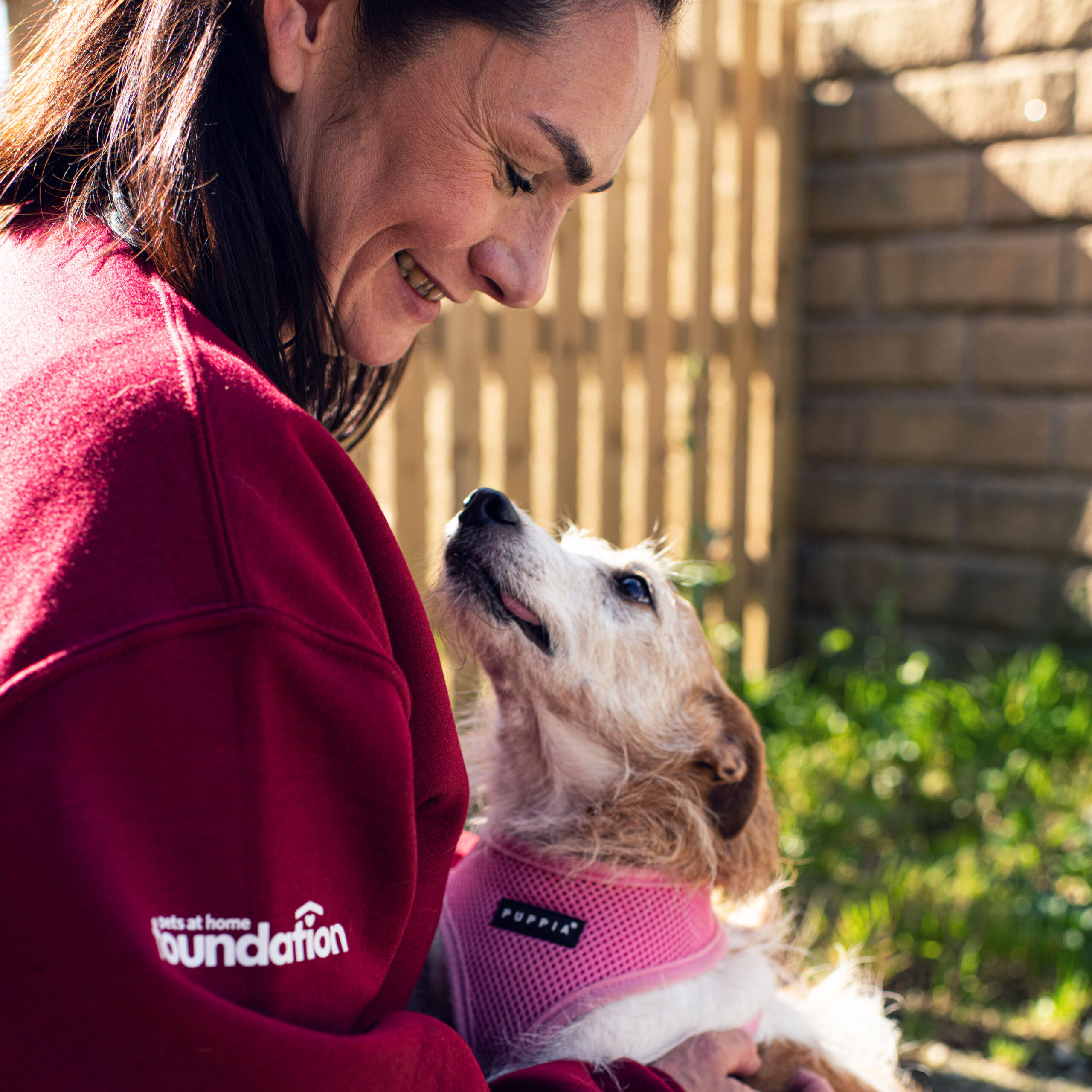 Together we raised... - Pets Foundation