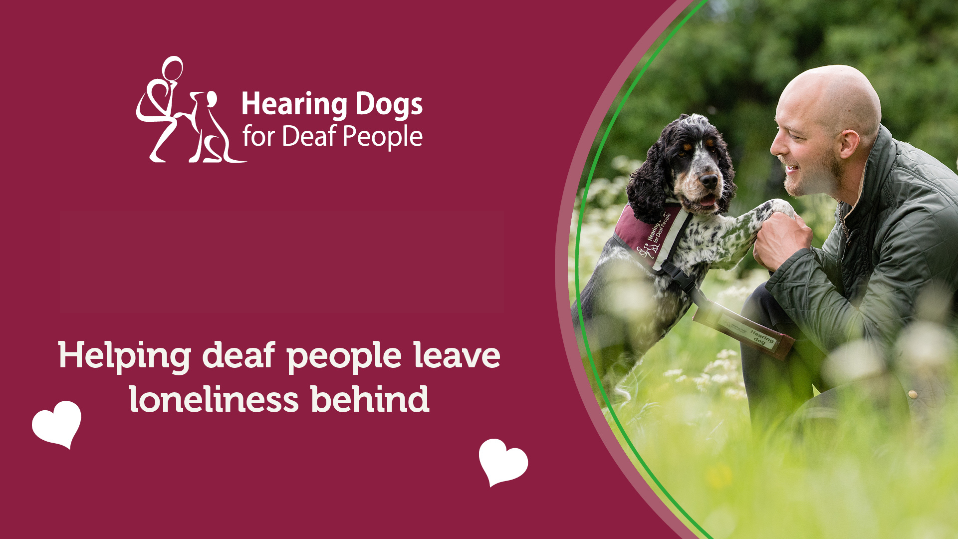 Summer fundraiser launch - Pets Foundation