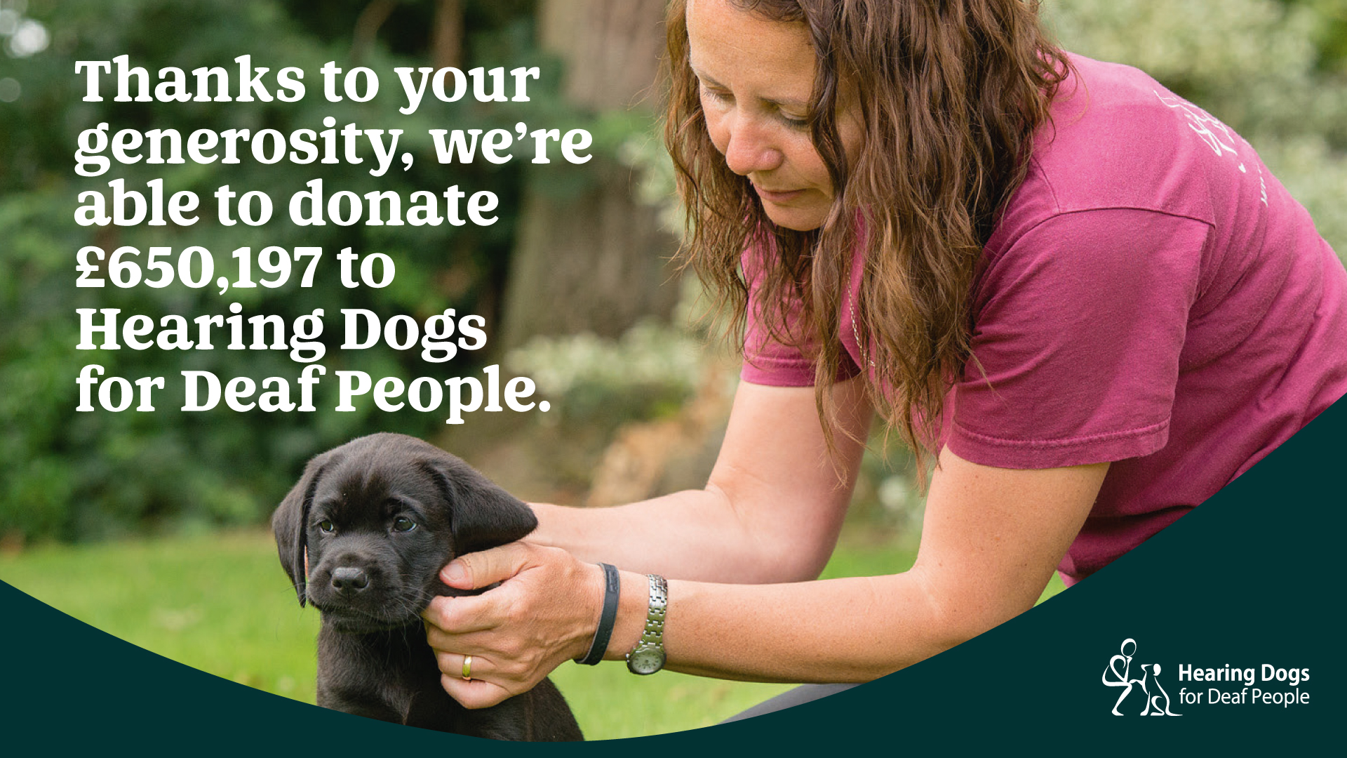 Pets Foundation | Animal Rescue & UK Pet Adoption Charity