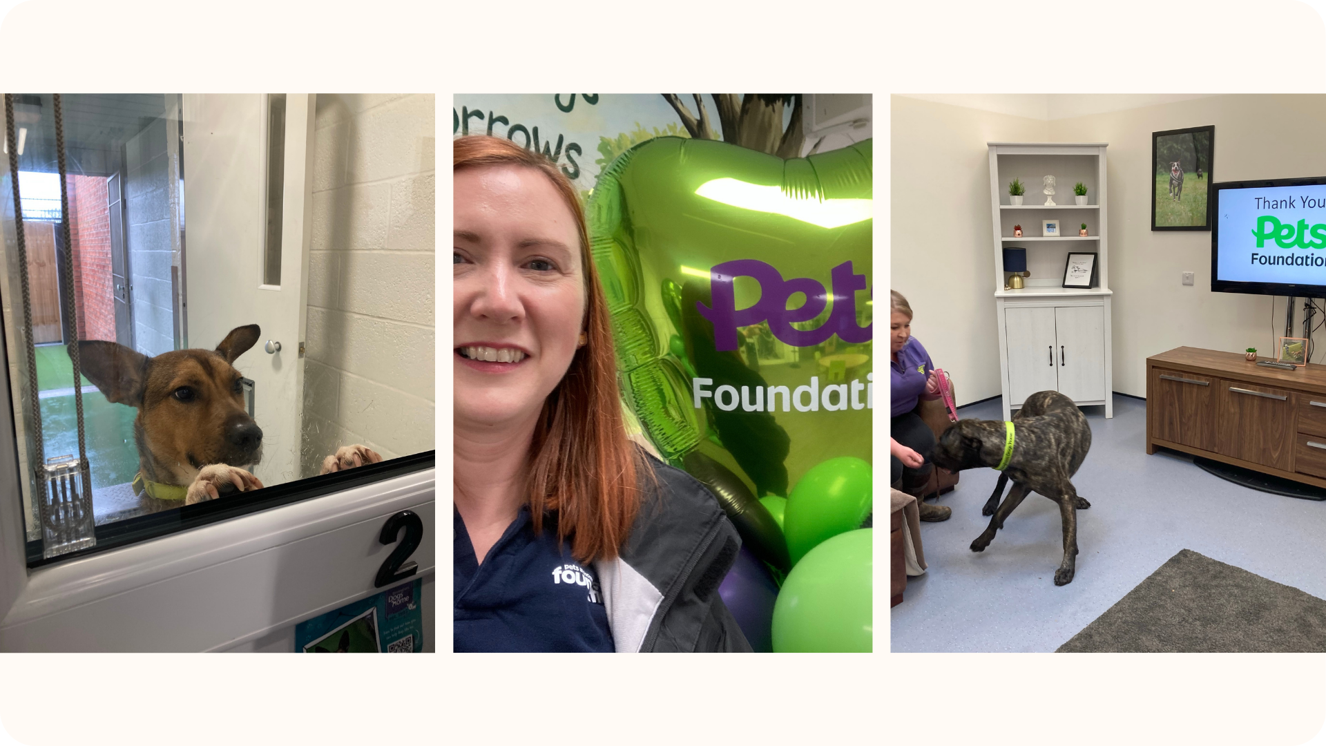 Birmingham Dogs Home’s New Behaviour and Training Centre Grand Opening ...