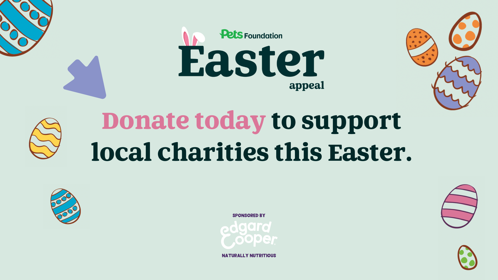 Our Easter Appeal arrives next week - Pets Foundation